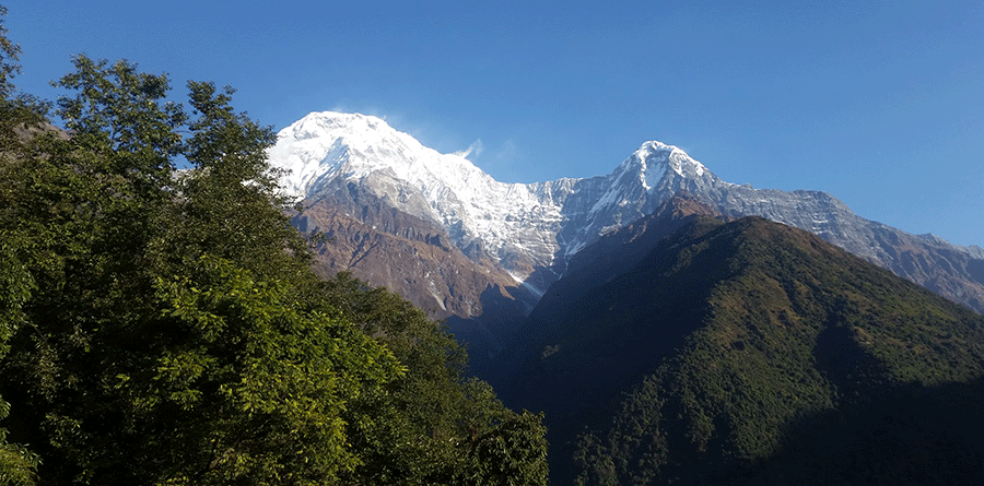 Mardi Himal trek- A complete classic short trek in Annapurna region ...
